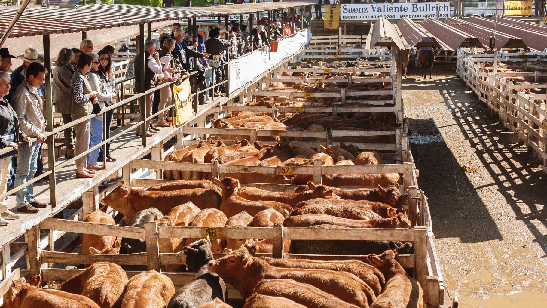 Mercado de Liniers